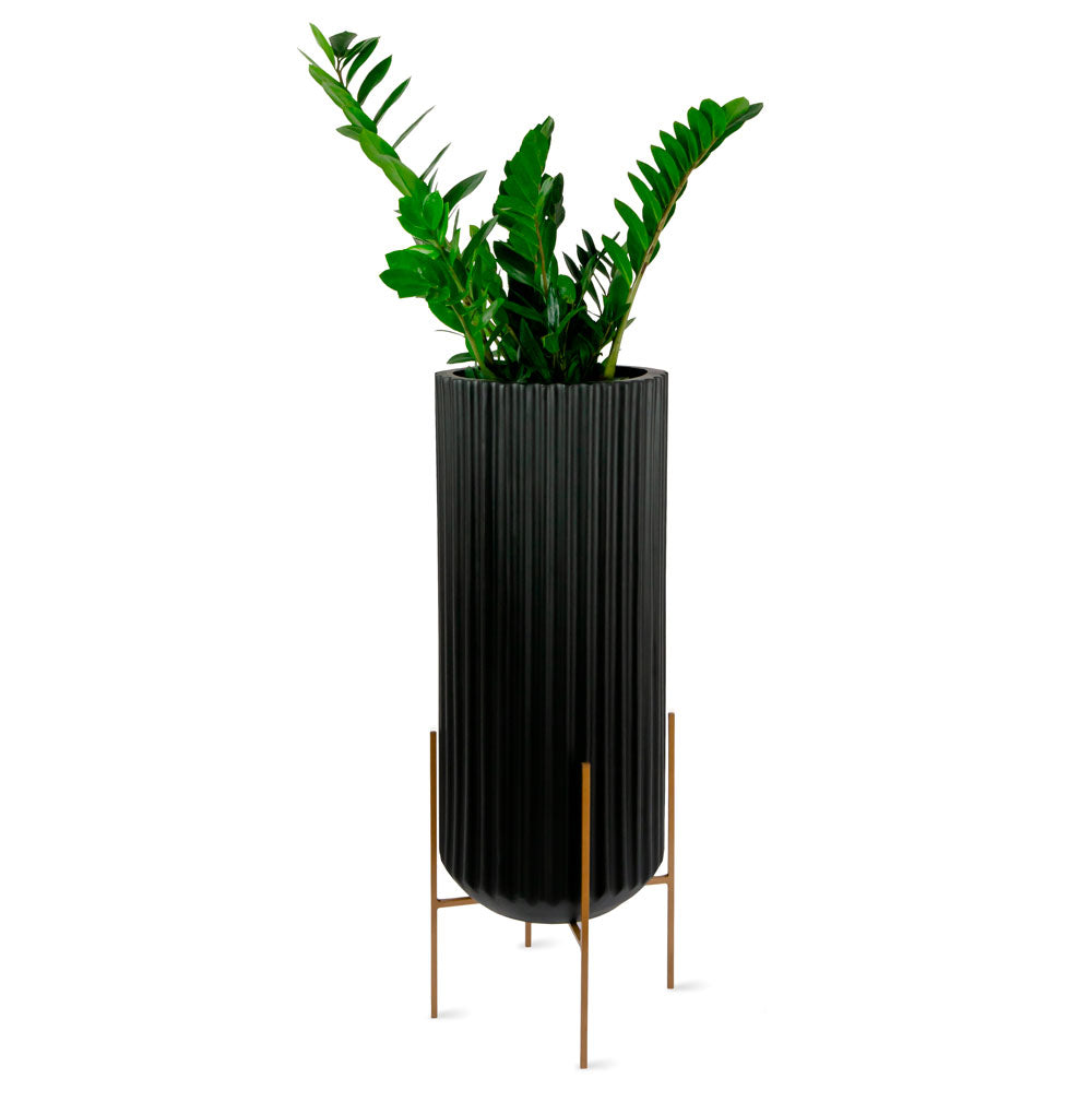 Buy Fluto Black with Stands Online in India | Palasa — Home Canvas